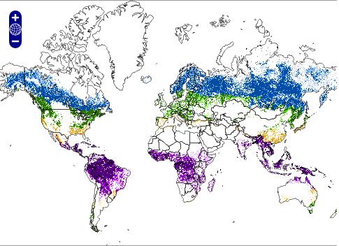 FAO releases an update to 'global remote sensing survey of forests ...