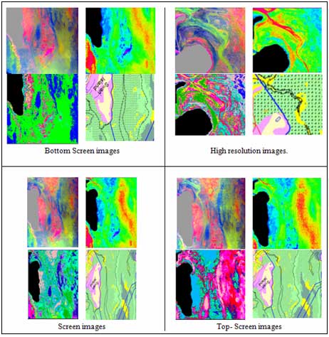 The Effect of Spatial Resolution on Classification Accuracy of Marine ...