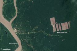 Peruvian Amazon’s forest monitoring maps released - Geospatial World