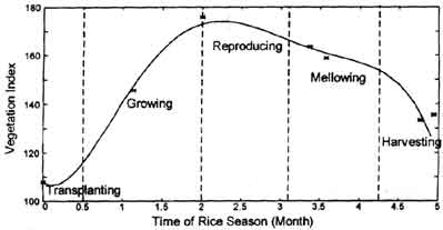 Automatic detecting rice fields by using multitemporal satellite images ...