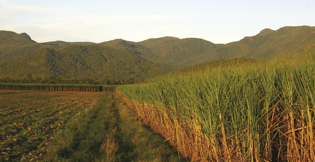 Sweet innovation for Australian Sugar Industry - Geospatial World Sweet innovation for Australian Sugar Industry - Geospatial World