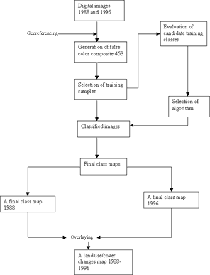 Mangrove forest rehabilitation and management in Pang NGA Bay, southern ...