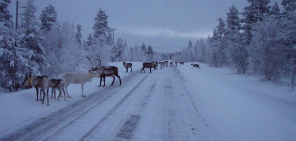 Protecting Biodiversity with Participatory Environmental Planning in ...