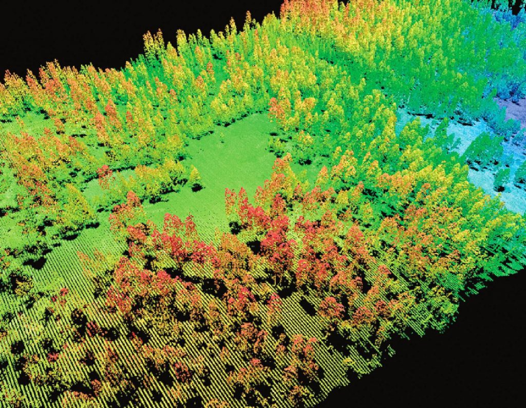 Researchers use laser techniques to create 3D maps of woodlands ...