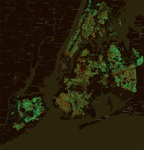Tree-mapping project to show stark differences in greenery across ...