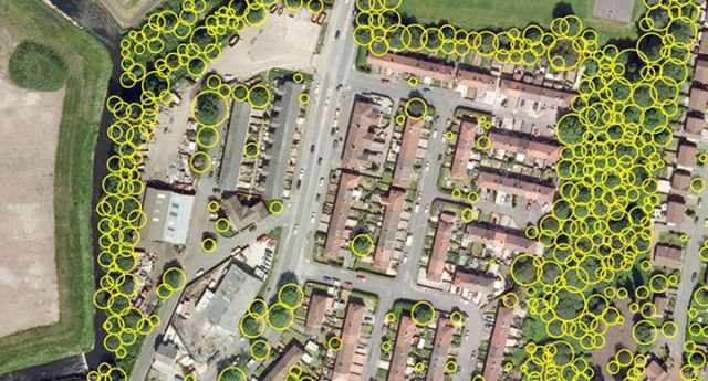 Indian civic body to use GIS to prepare tree plantation strategy ...