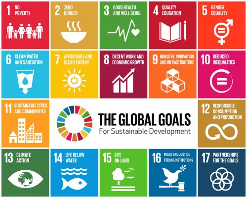 Geo-enablement of SDGs for boosting capability and better policy making