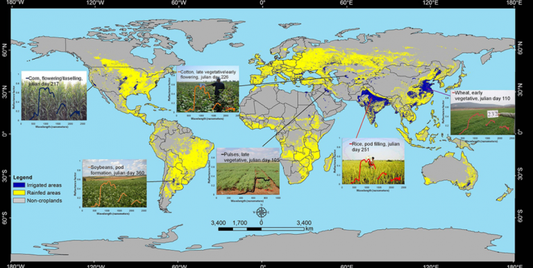 USGS releases interactive map of croplands in the world