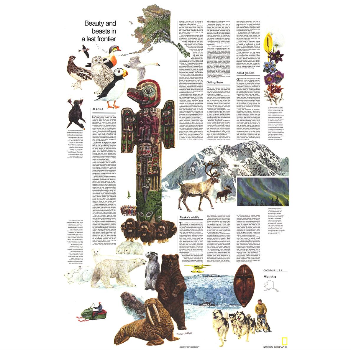 National Geographic celebrates 100 years of stunning pull-out maps