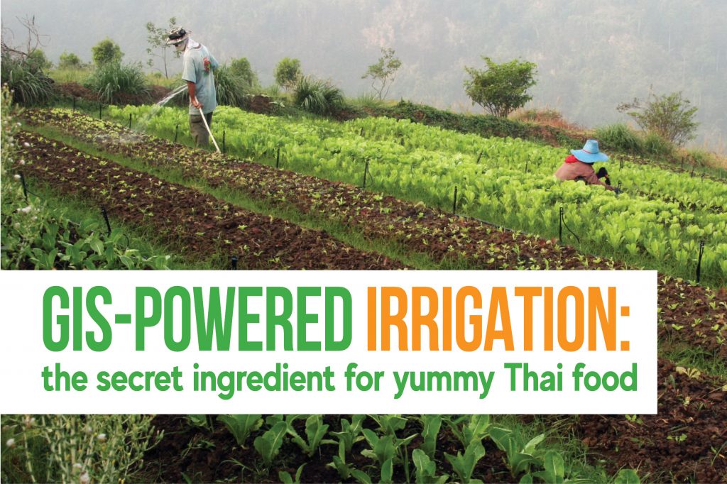 GIS-Powered irrigation: the secret ingredient for yummy Thai food