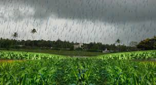Empowering agricultural decision makers with improved rainfall ...
