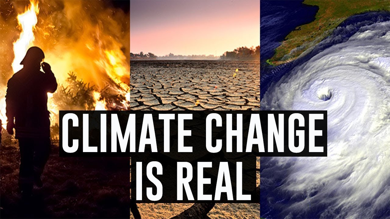 Climate Change is real, says Dr Virginia Burkett, Chief Scientist ...