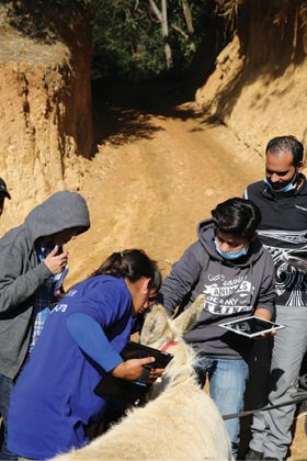 UK-based charity using location technology to track life cycle of donkeys