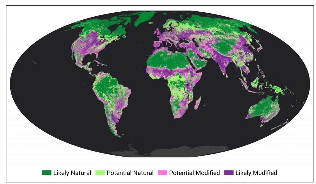 A new global map of terrestrial habitat for boosting greener business ...