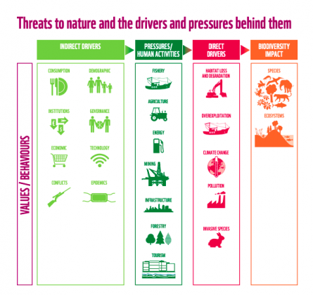 58% of Earth’s land under intense human pressure, finds WWF report
