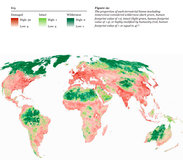 58% of Earth’s land under intense human pressure, finds WWF report