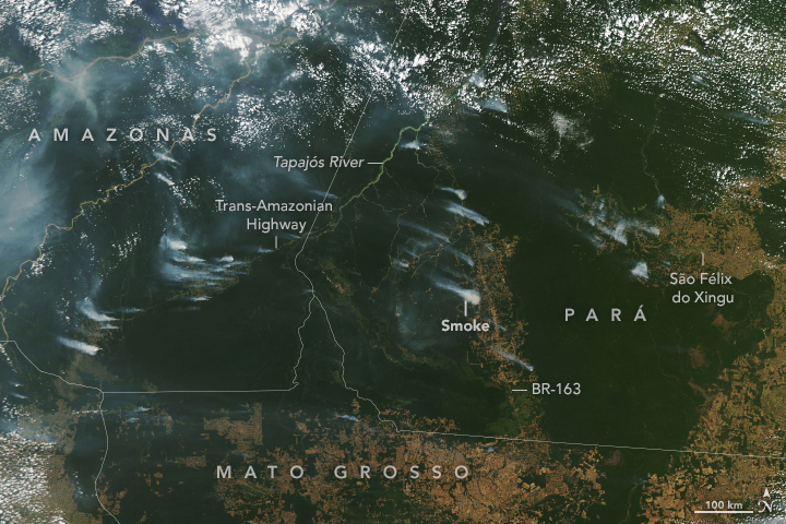 As Amazon burns again, new tool can help track the fires