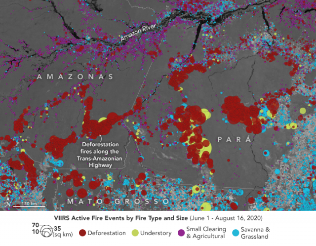 As Amazon burns again, new tool can help track the fires