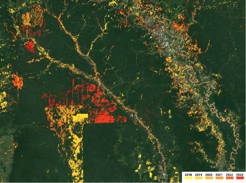 CTress Launches World's-First Forest Disturbance Alert System