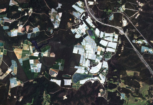 Arlula Secures Funding from Lockheed Martin for Space Data