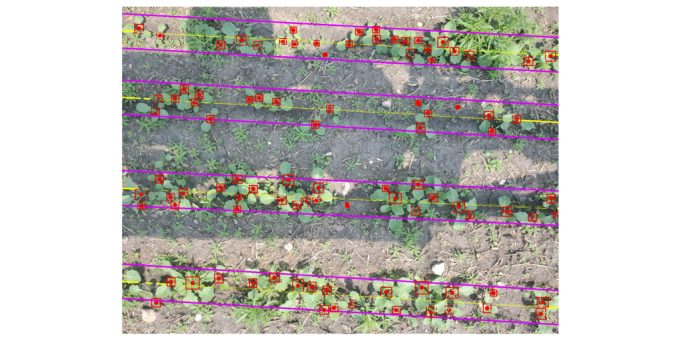 World’s First Map Using Fully Autonomous Plant Stand Counting