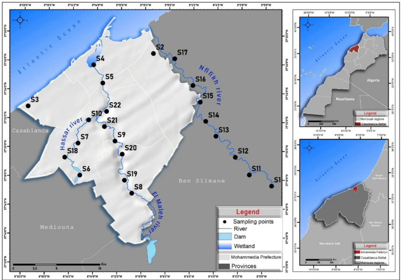 Mapping Heavy Metal Pollution in Moroccan Surface Waters