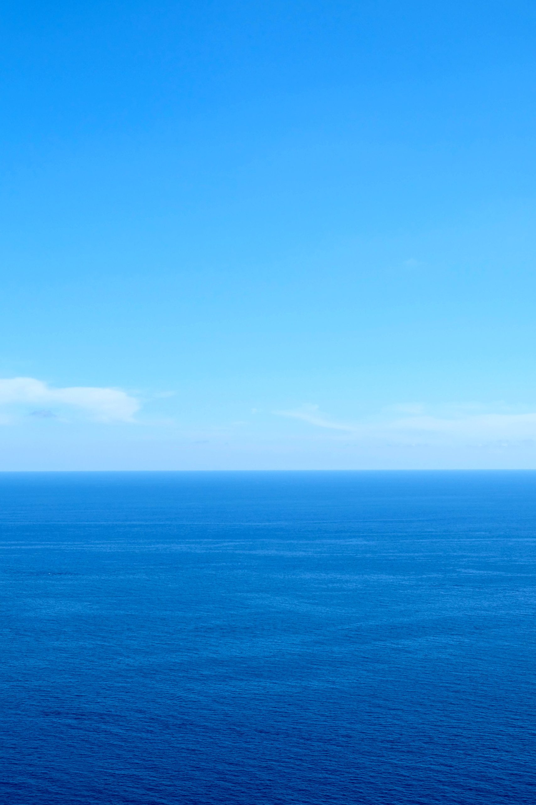 Hexicon's Joint Venture, Freja Offshore, Starts Collaboration With Fish ...