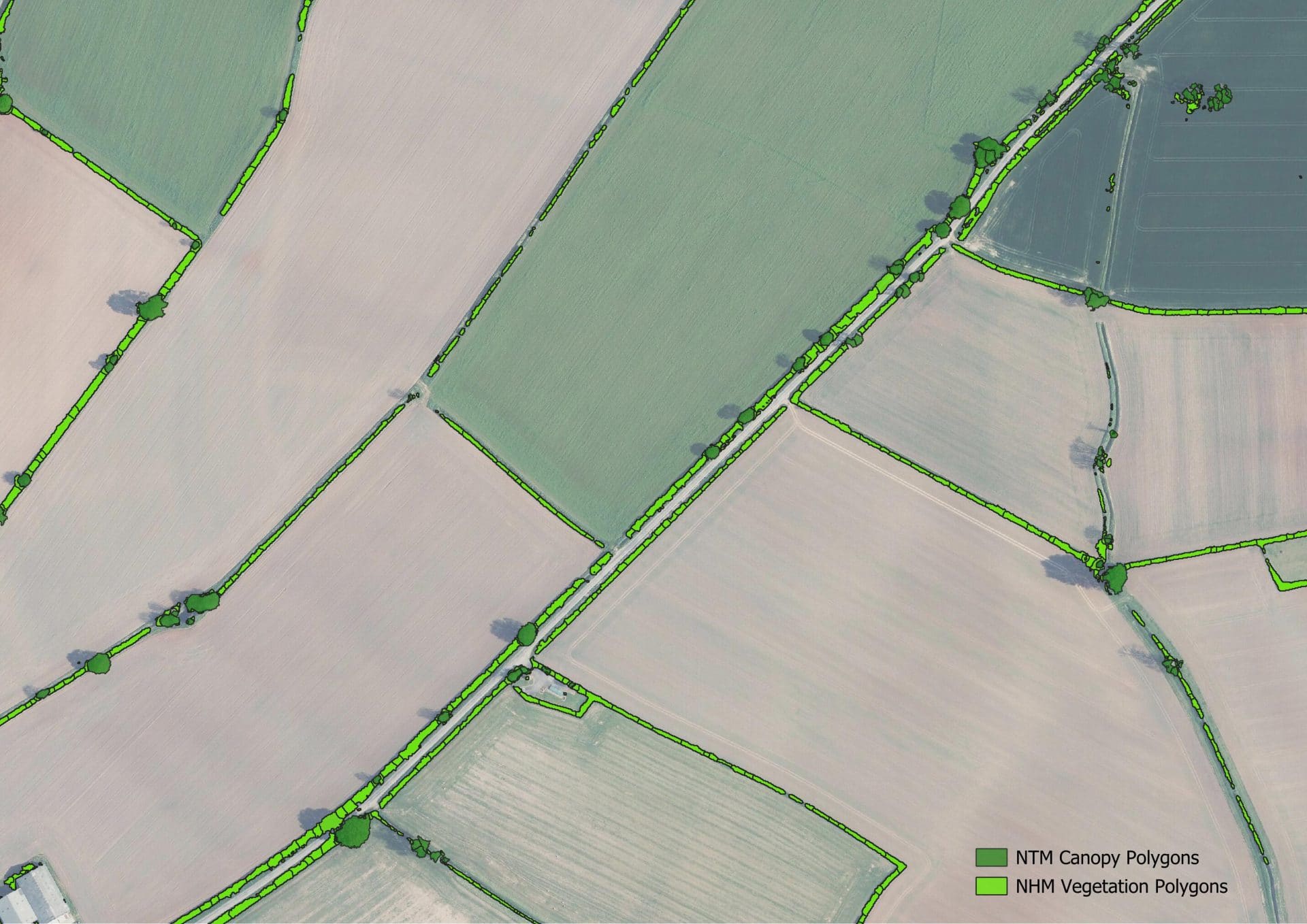 New Mapping Technology Shows Carbon Stored in Britain's Hedgerows