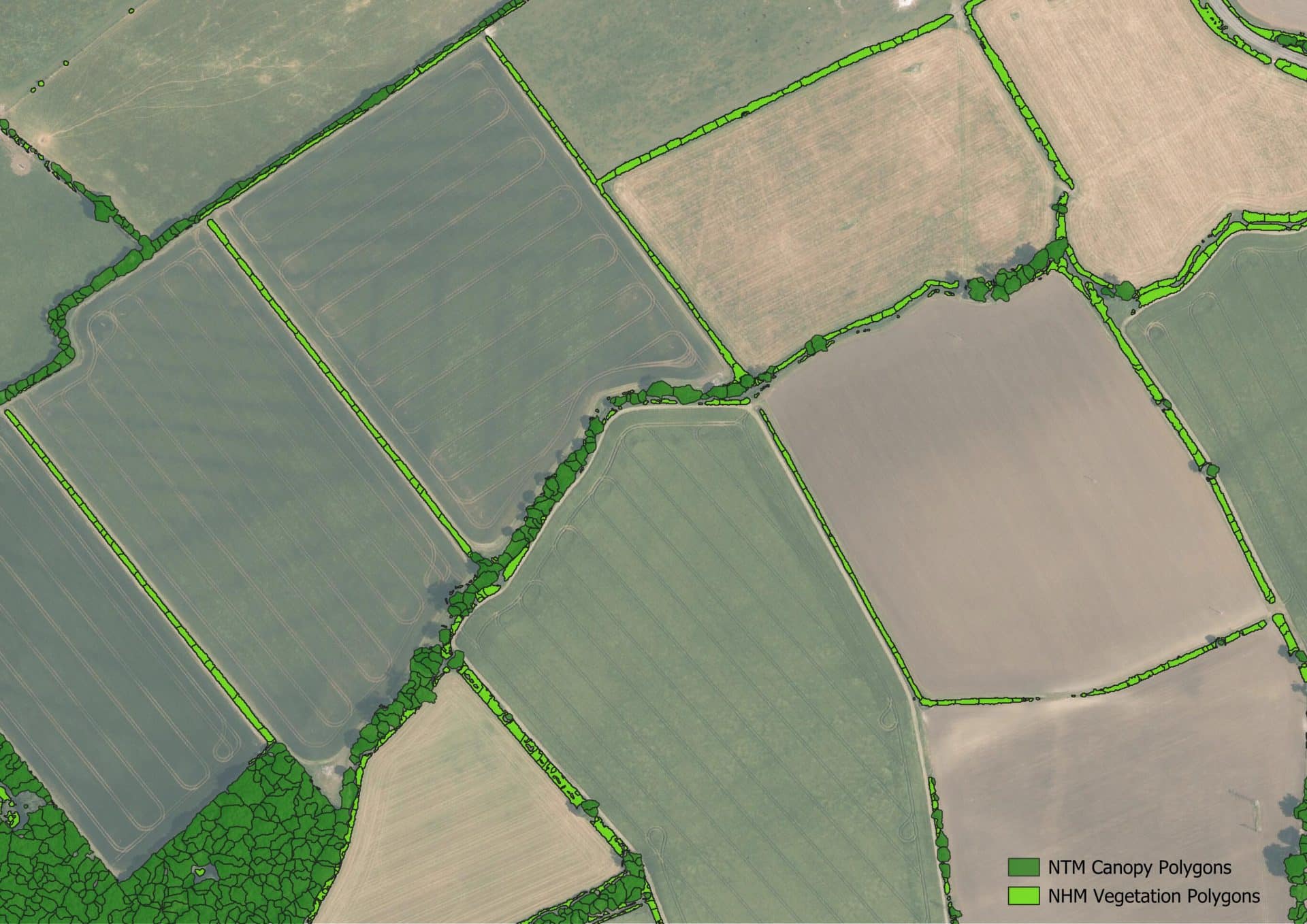 New Mapping Technology Shows Carbon Stored in Britain's Hedgerows