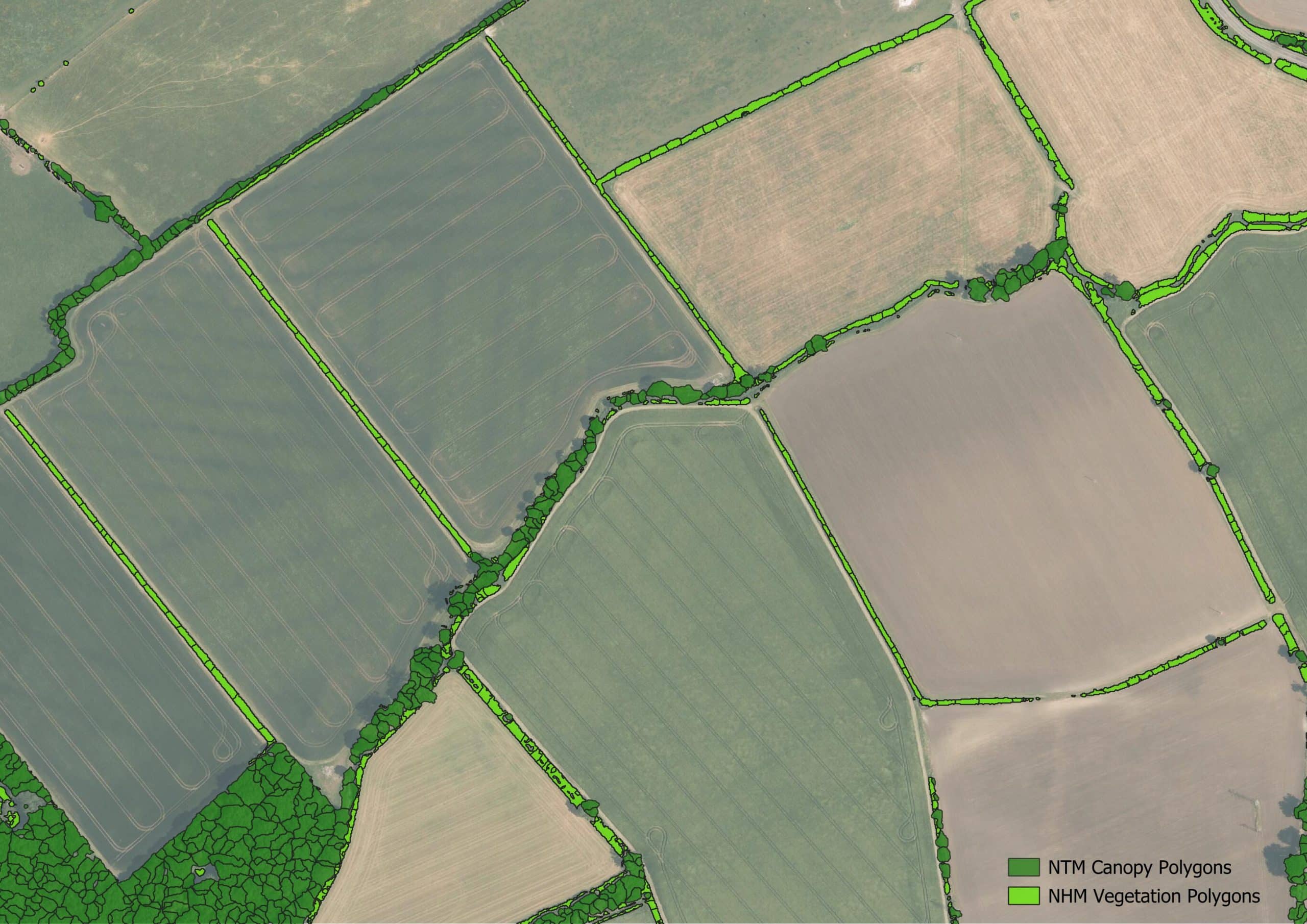 New Mapping Technology Shows Carbon Stored in Britain's Hedgerows