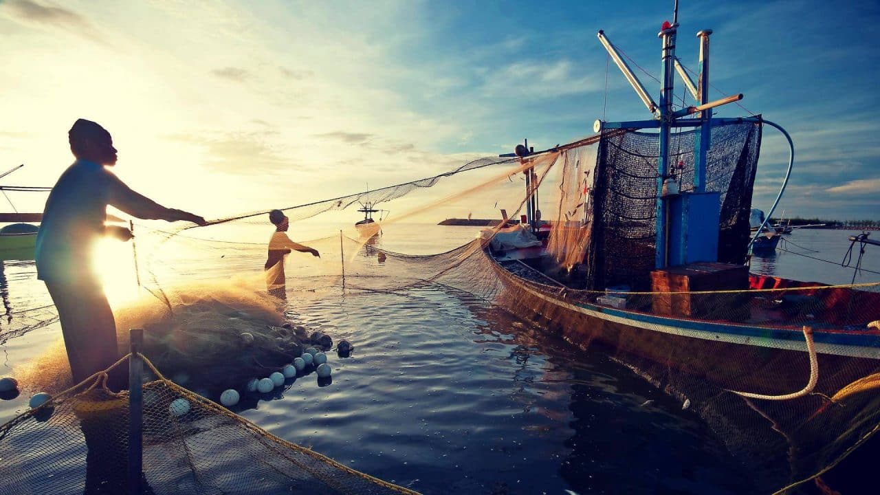 Geospatial Expertise Can Save the Fishing Industry